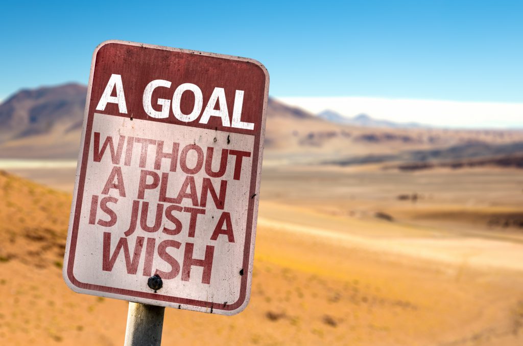 What's Your Action Plan? - Howling For Success